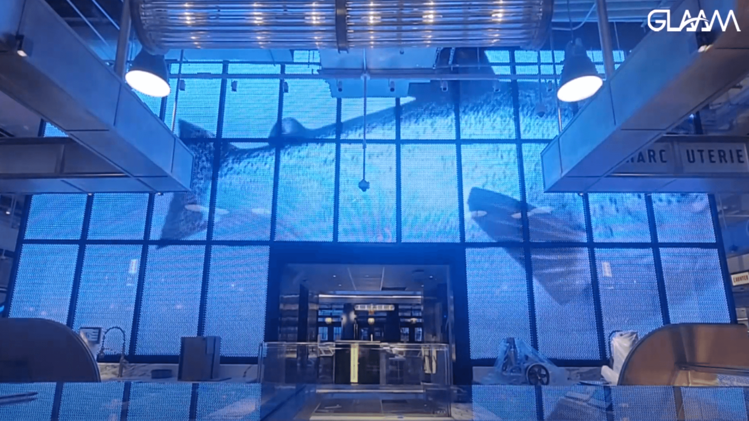 Transparent LED Glass Media Facade - GLAAM America