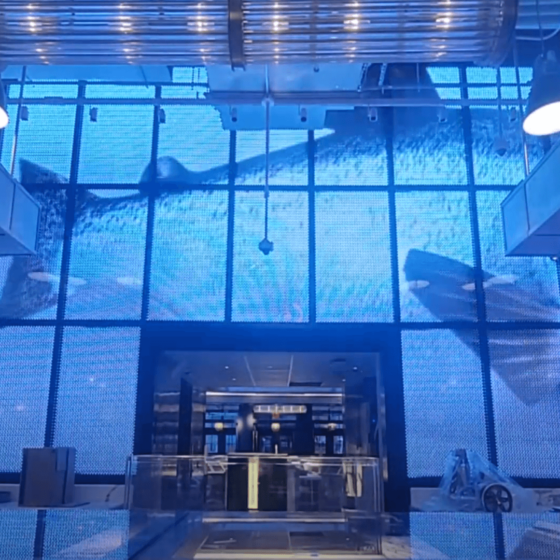 The View Hospital, Doha Qatar - GLAAM America